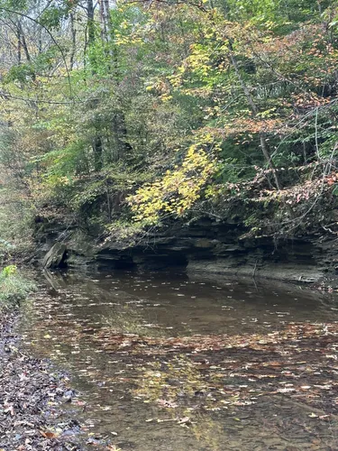 Best Hikes and Trails in Blue Rock State Park | AllTrails