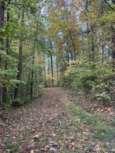 Best Hikes and Trails in Blue Rock State Park | AllTrails