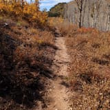 Big Mountain via Great Western Trail, Utah - 322 Reviews, Map | AllTrails
