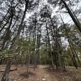 Hot Springs Sunset Trail Full Circle, Arkansas - 338 Reviews, Map ...