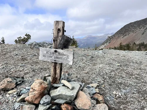 Best Mountain Biking Trails in Trinity Center | AllTrails