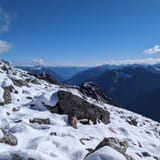 Sahale Arm Trail to Sahale Mountain, Washington - 345 Reviews, Map ...