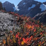 Sahale Arm Trail to Sahale Mountain, Washington - 345 Reviews, Map ...