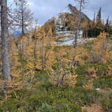 Easy Pass Trail, Washington - 464 Reviews, Map | AllTrails