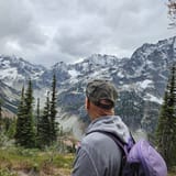 Easy Pass Trail, Washington - 464 Reviews, Map | AllTrails