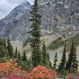 Easy Pass Trail, Washington - 464 Reviews, Map | AllTrails