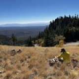 Bill Williams Mountain Trail, Arizona - 525 Reviews, Map | AllTrails