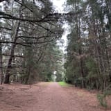 Devilbend Reservoir Loop, Victoria, Australia - 362 Reviews, Map ...