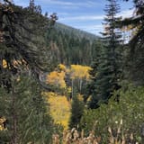 Brockway Summit to Mount Baldy Loop, California - 183 Reviews, Map ...