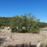 Good Water Loop, Texas - 775 Reviews, Map | AllTrails