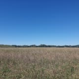 Good Water Loop, Texas - 775 Reviews, Map | AllTrails