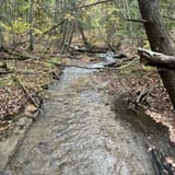 Jordan Valley Pathway, Michigan - 712 Reviews, Map | AllTrails