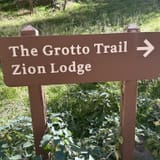 Zion Grotto Trail, Utah - 1,124 Reviews, Map | AllTrails