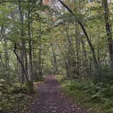 Mer Bleue Conservation Area Loop, Ontario, Canada - 895 Reviews, Map ...
