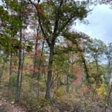 Levis/Trow Mounds Trail, Wisconsin - 268 Reviews, Map | AllTrails