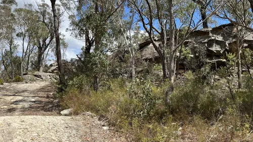 Best Hikes and Trails in Belanglo State Forest | AllTrails