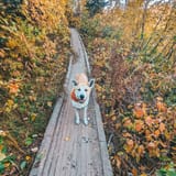 Scout Falls via Mount Timpanogos Trail, Utah - 2,155 Reviews, Map ...