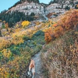 Scout Falls via Mount Timpanogos Trail, Utah - 2,155 Reviews, Map ...