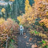 Scout Falls via Mount Timpanogos Trail, Utah - 2,155 Reviews, Map ...