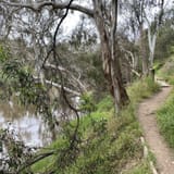 Galatea Point & Dights Falls Loop, Victoria, Australia - 416 Reviews ...