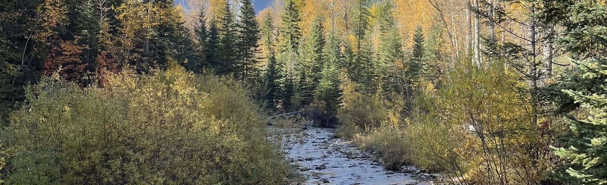 Mount Proctor Trail, British Columbia, Canada - 125 Reviews, Map ...