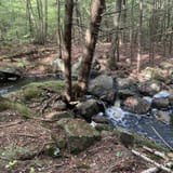 Catamount Hill Trail and One Mile Trail Loop, New Hampshire - 615 ...