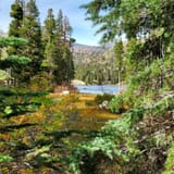 Grass Lake, California - 573 Reviews, Map | AllTrails