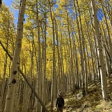 Lockett Meadow Inner Basin Loop, Arizona - 723 Reviews, Map | AllTrails
