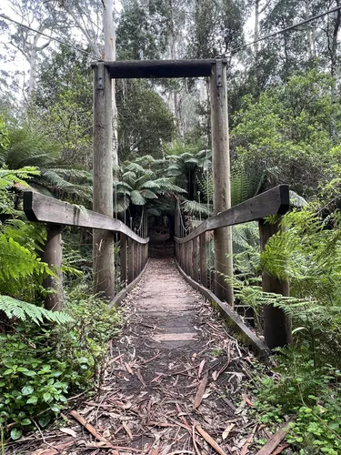 10 Best Trails and Hikes in Lorne | AllTrails