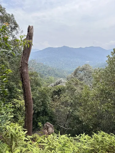 2023 Best Views Trails in Padang Tengku | AllTrails