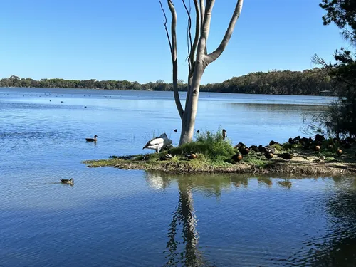 Best Hikes and Trails in Lake Monger Reserve | AllTrails