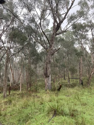 Best Hikes and Trails in Enfield State Park | AllTrails