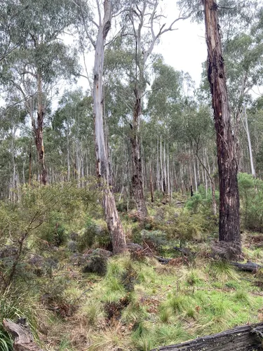 Best Hikes and Trails in Enfield State Park | AllTrails