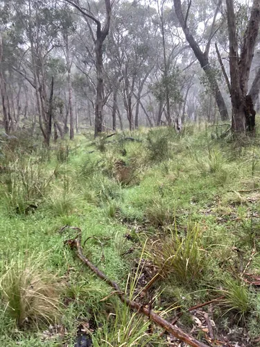 Best Hikes and Trails in Enfield State Park | AllTrails