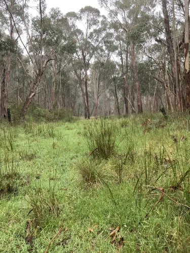 Best Hikes and Trails in Enfield State Park | AllTrails