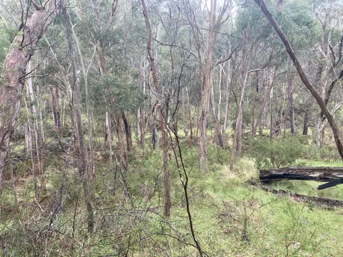 Best Hikes and Trails in Enfield State Park | AllTrails