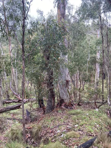 Best Hikes and Trails in Enfield State Park | AllTrails