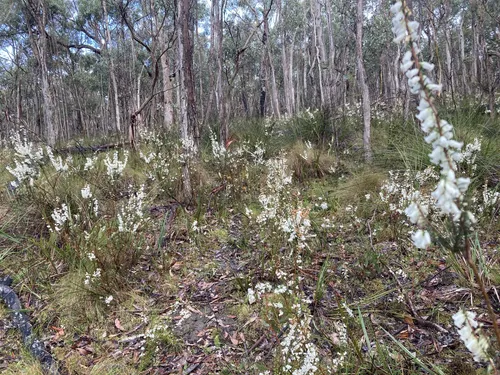 Best Hikes and Trails in Enfield State Park | AllTrails