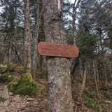 Killington Peak via Bucklin Trail, Vermont - 1,779 Reviews, Map | AllTrails