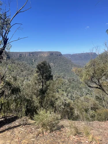 10 Best Walking Trails in Fitzroy Falls | AllTrails