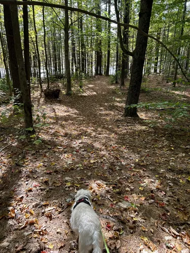 2023 Best River Trails in Epsom | AllTrails