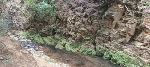 Best River Trails in Centurion | AllTrails