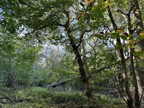 Best Hikes and Trails in Maidenhead Thicket | AllTrails