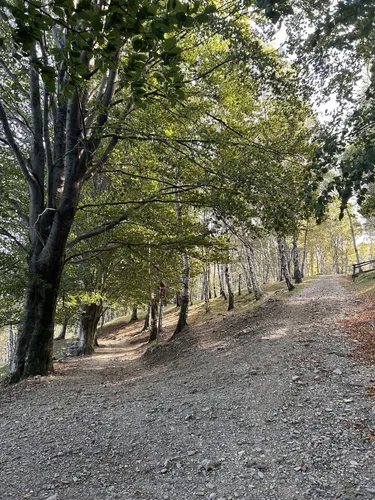 Best Hikes and Trails in Camignolo | AllTrails