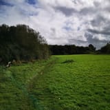 Stour Meadows Circular, Dorset, England - 9 Reviews, Map | AllTrails