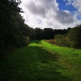 Stour Meadows Circular, Dorset, England - 9 Reviews, Map | AllTrails