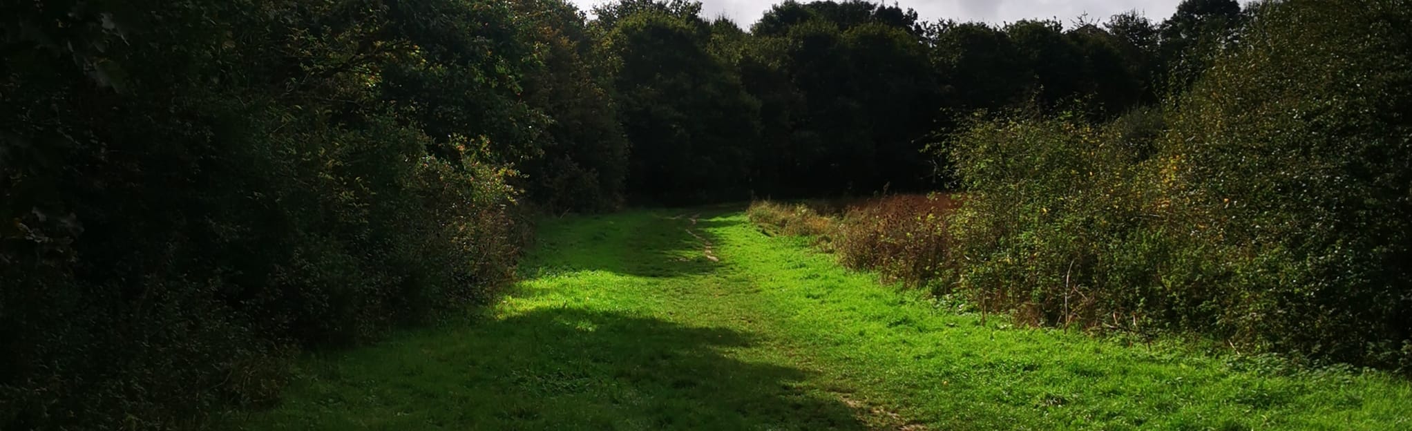 Stour Meadows Circular, Dorset, England - 7 Reviews, Map | AllTrails