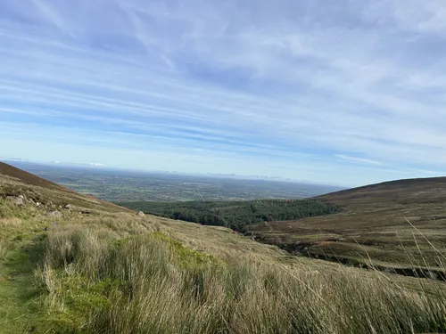 2023 Best Walking Trails in Bansha | AllTrails