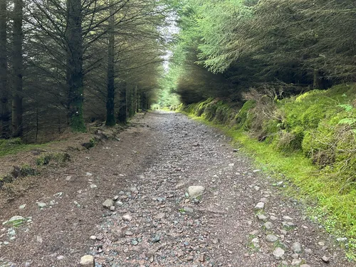 2023 Best Walking Trails in Bansha | AllTrails