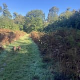 Denge Wood and Eggringe Wood Circular, Kent, England - 51 Reviews, Map ...